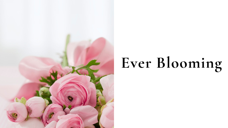 Ever blooming | 仕事も恋愛も、自分らしく輝き続ける30代からの大人女性のためのファッション＆ライフスタイル